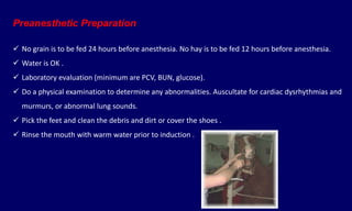 Veterinary Anesthesia | PPTX