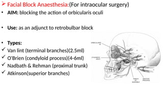 Ocular Anaesthesia by Sachin Mahatra.pptx