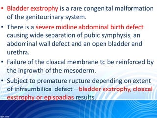 ANAESTHESIA AND ANALGESIA IN CLASSIC BLADDER EXSTROPHY REPAIR.pptx