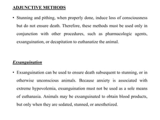 Anaesthesia and euthanasia | PPTX
