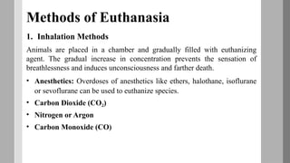 Anesthesia and Euthanasia | Biostatistics and Research Methodology | M. Pharm.pptx