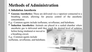 Anesthesia and Euthanasia | Biostatistics and Research Methodology | M. Pharm.pptx