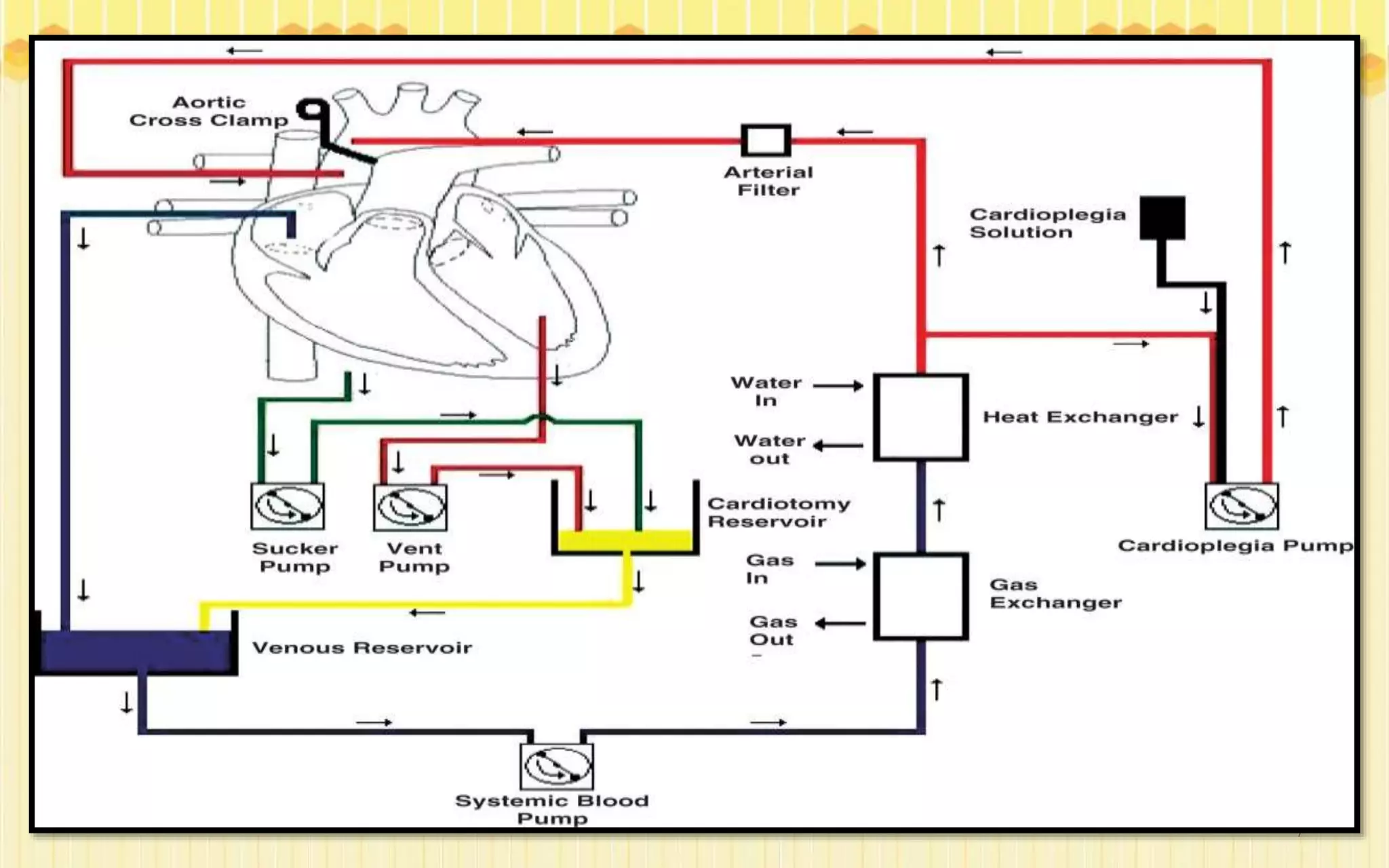 Anaesthesia for cardiopulmonary bypass surgery | PPTX