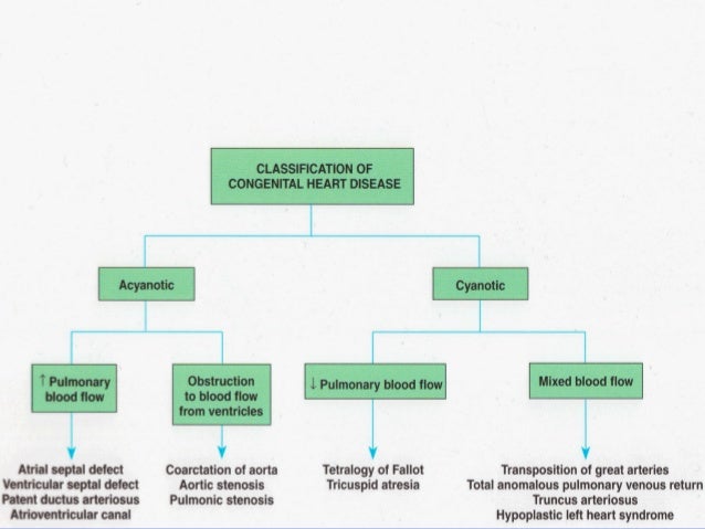Congenital Heart Defects Classification