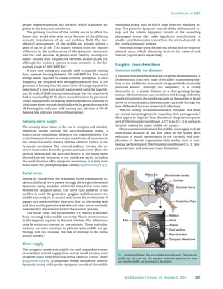 Anaesthesia for all Middle Ear Surgeries | PDF