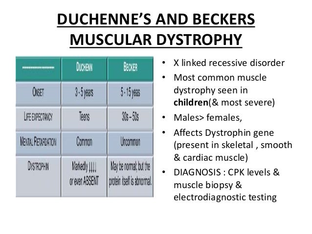 Muscular System Diseases