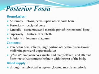 Posterior Cranial Fossa Tumor