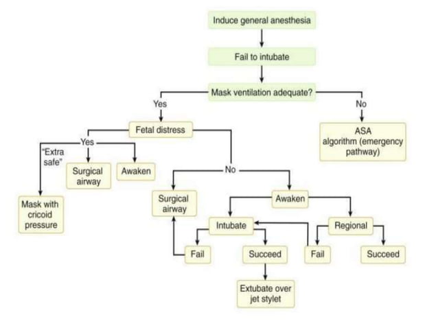 Anaesthesia For Lscs Ppt