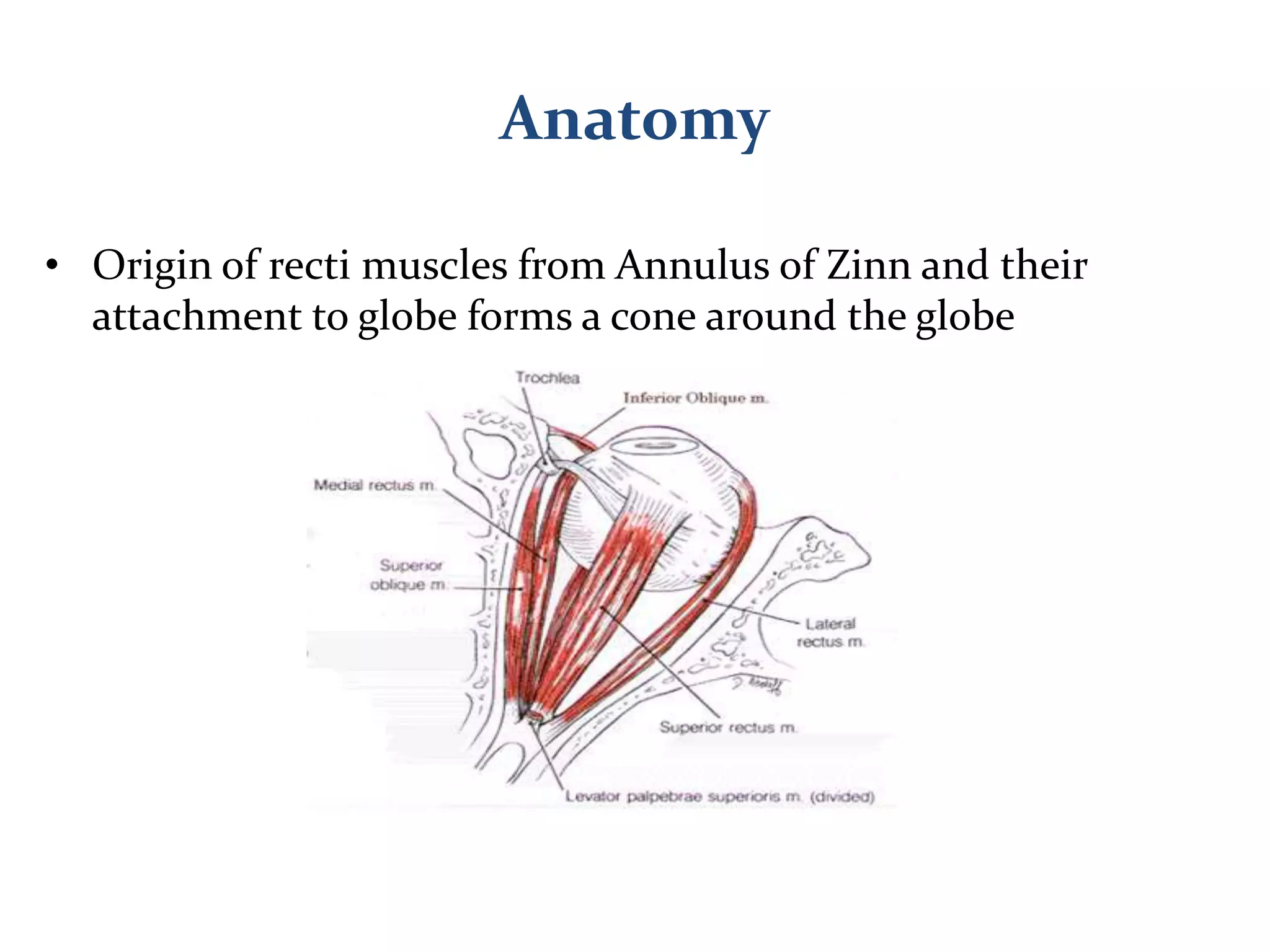 Anaesthesia in ophthalmic surgery | PPT