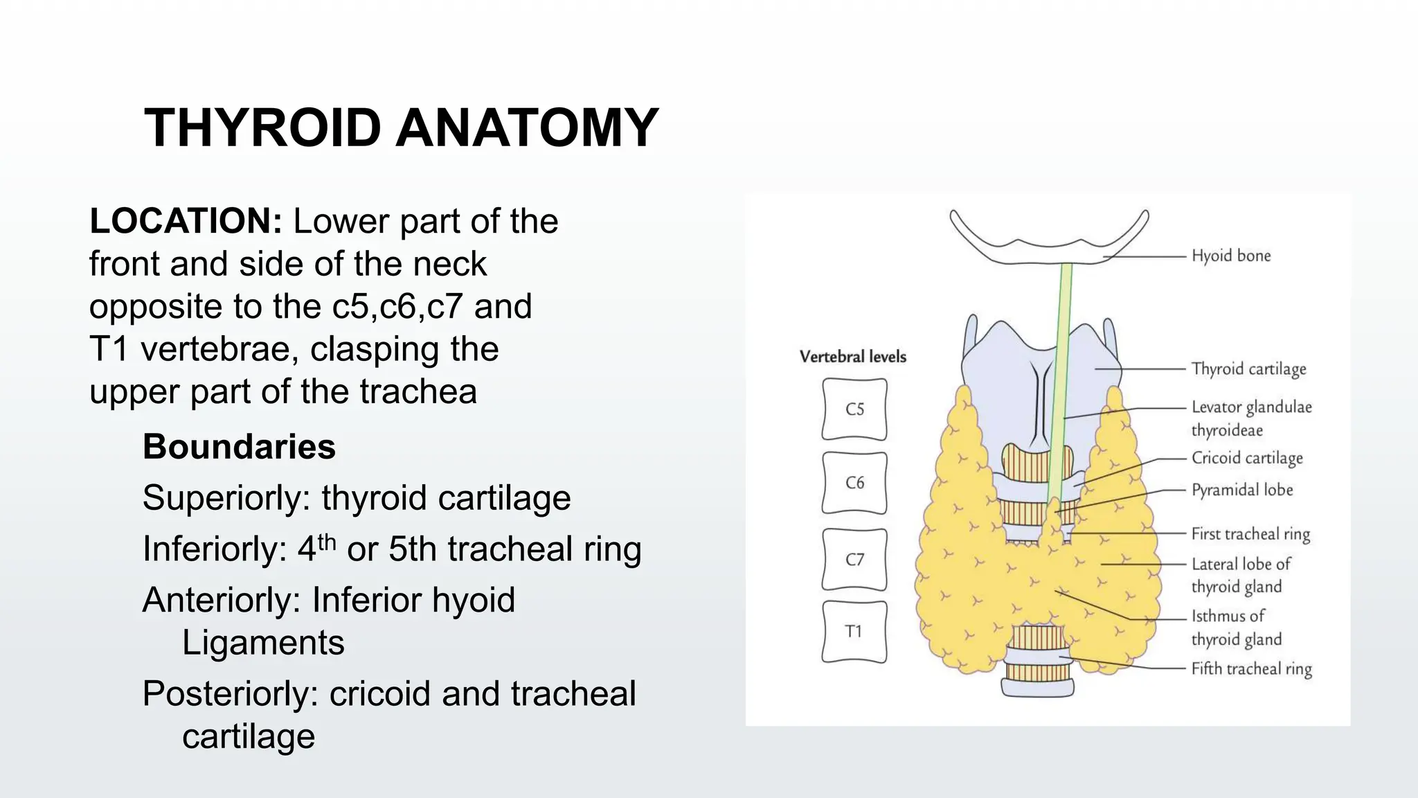 Anaesthesia Management Thyroid by Dr. Animesh | PPTX