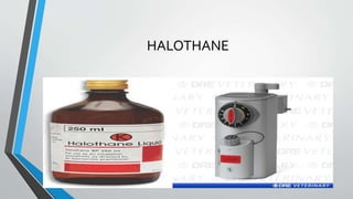 ANAESTHESIA VAPORIZOR KEMENTERIAN KESIHATAN MALAYSIA.pptx