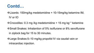 reptile anaesthesia | PPTX