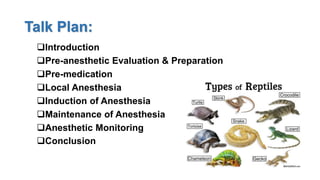 reptile anaesthesia | PPTX