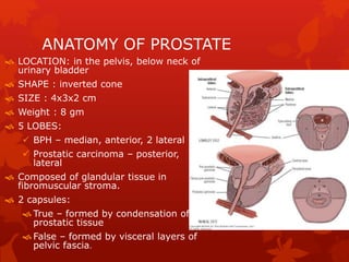 Anaesthetic managent of turp | PPTX