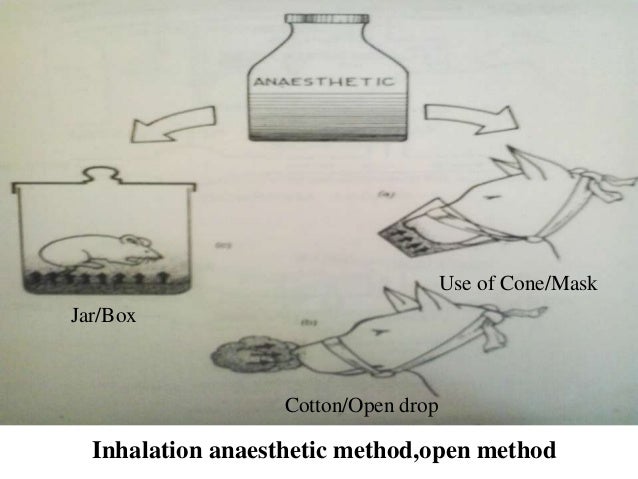 Anaesthetic techniques