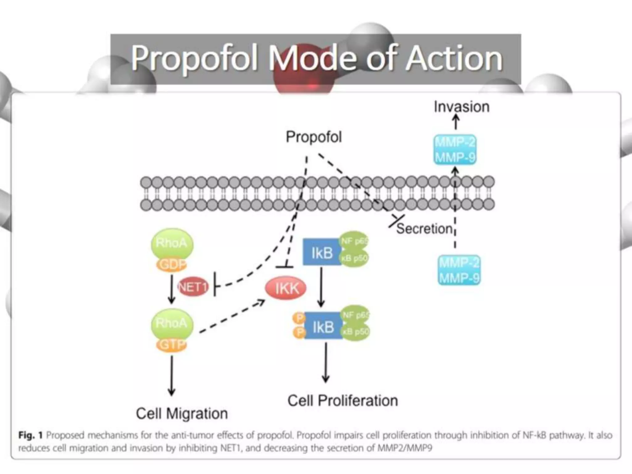 Role of Anaesthetic Techniques in Prevention of Cancer Recurrence | PPT
