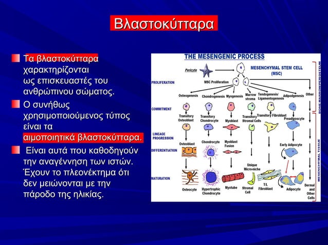 Anagennitiki iatriki-paron-k-mellon | PPT