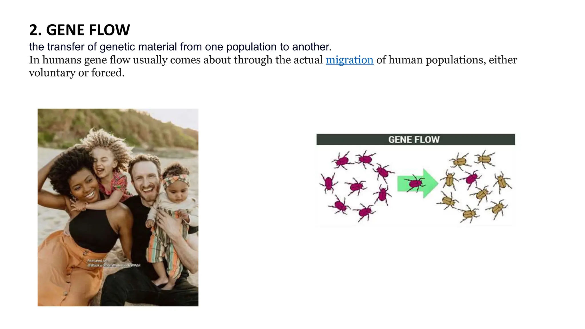 GENETIC VARIATION AND ITS ROLE IN HEALTH / PHARMACOLOGY.pptx