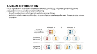 GENETIC VARIATION AND ITS ROLE IN HEALTH / PHARMACOLOGY.pptx