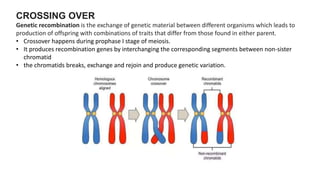 GENETIC VARIATION AND ITS ROLE IN HEALTH / PHARMACOLOGY.pptx