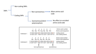 GENETIC VARIATION AND ITS ROLE IN HEALTH / PHARMACOLOGY.pptx