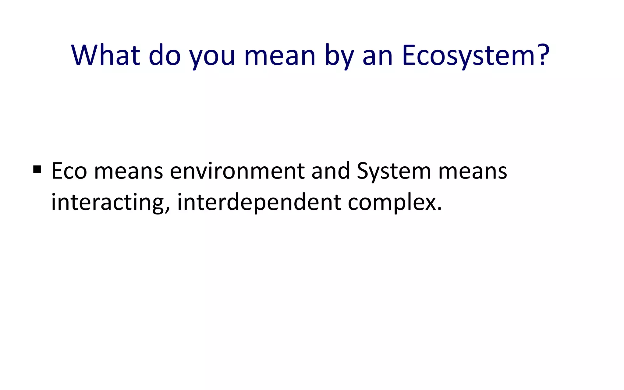 Forest Ecosystem | PPTX