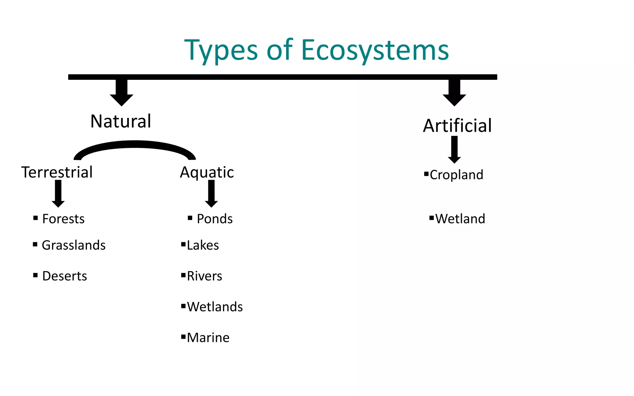 Forest Ecosystem | PPTX