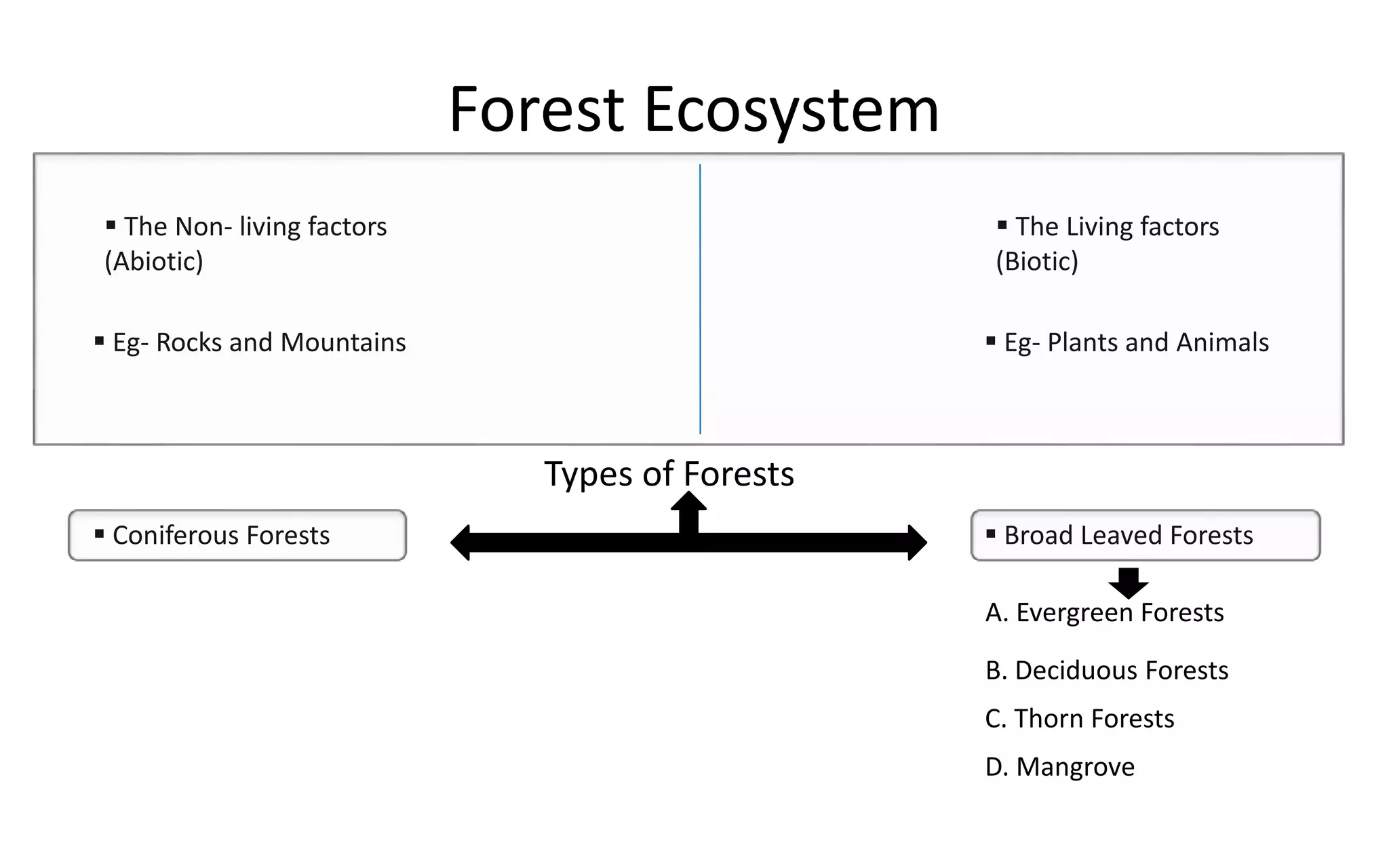 Forest Ecosystem | PPTX