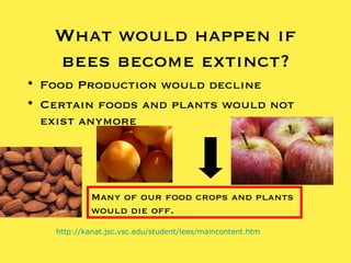 Ana guzman 3203280 senior seminar | PPT