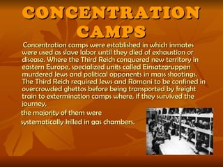 Holocaust | PPT