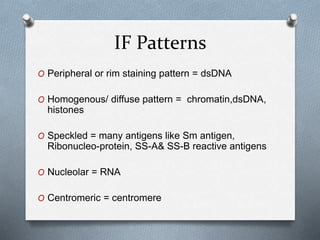 ANA in autoimmunity by DR. ANAMIKA DEV | PPTX