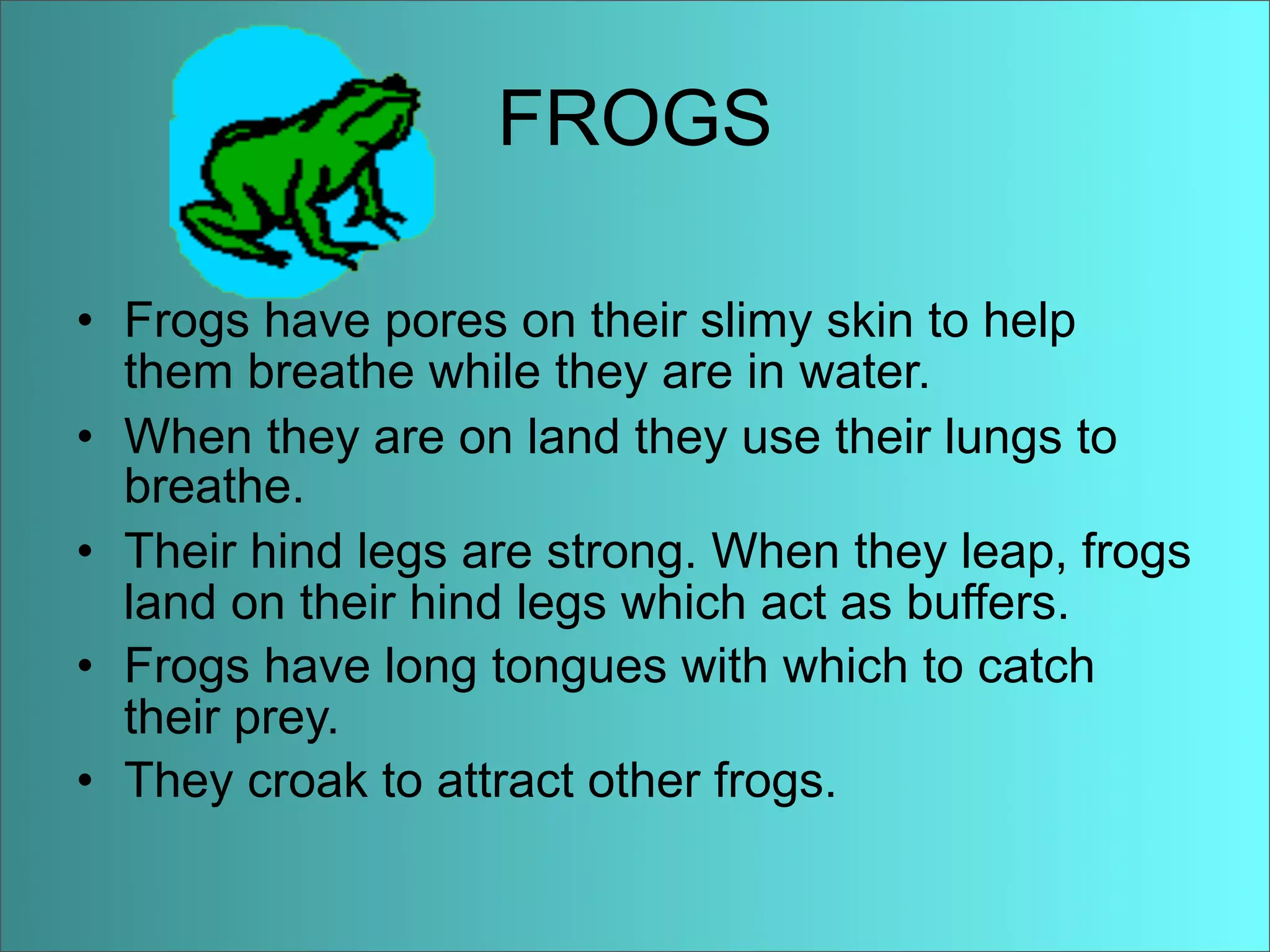 Anaise Animal Adaptations | PPT