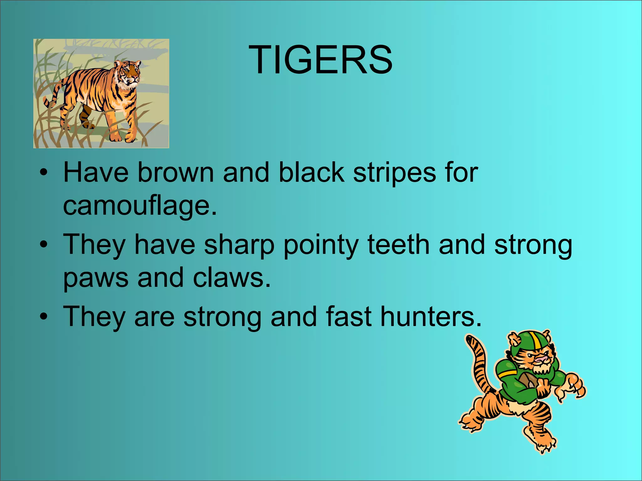 Anaise Animal Adaptations | PPT | Free Download