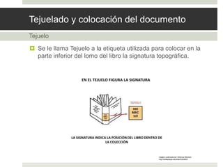 Proceso de Catalogación | PPTX