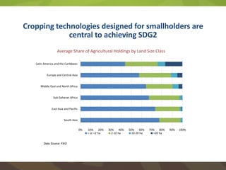 Achieving SDG2 by 2030 through food systems transformations ...
