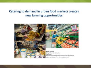 Achieving SDG2 by 2030 through food systems transformations ...