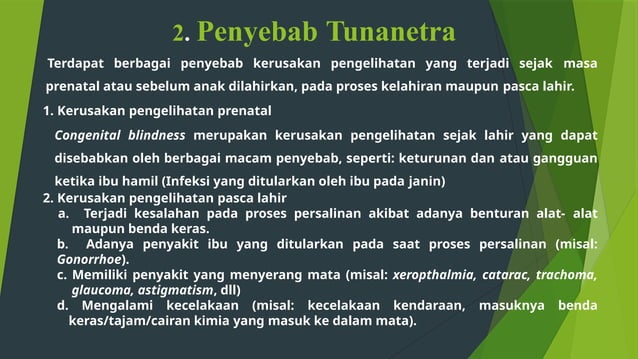ANAK BERKEBUTUHAN KHUSUS TUNA NETRA SAR.pptx