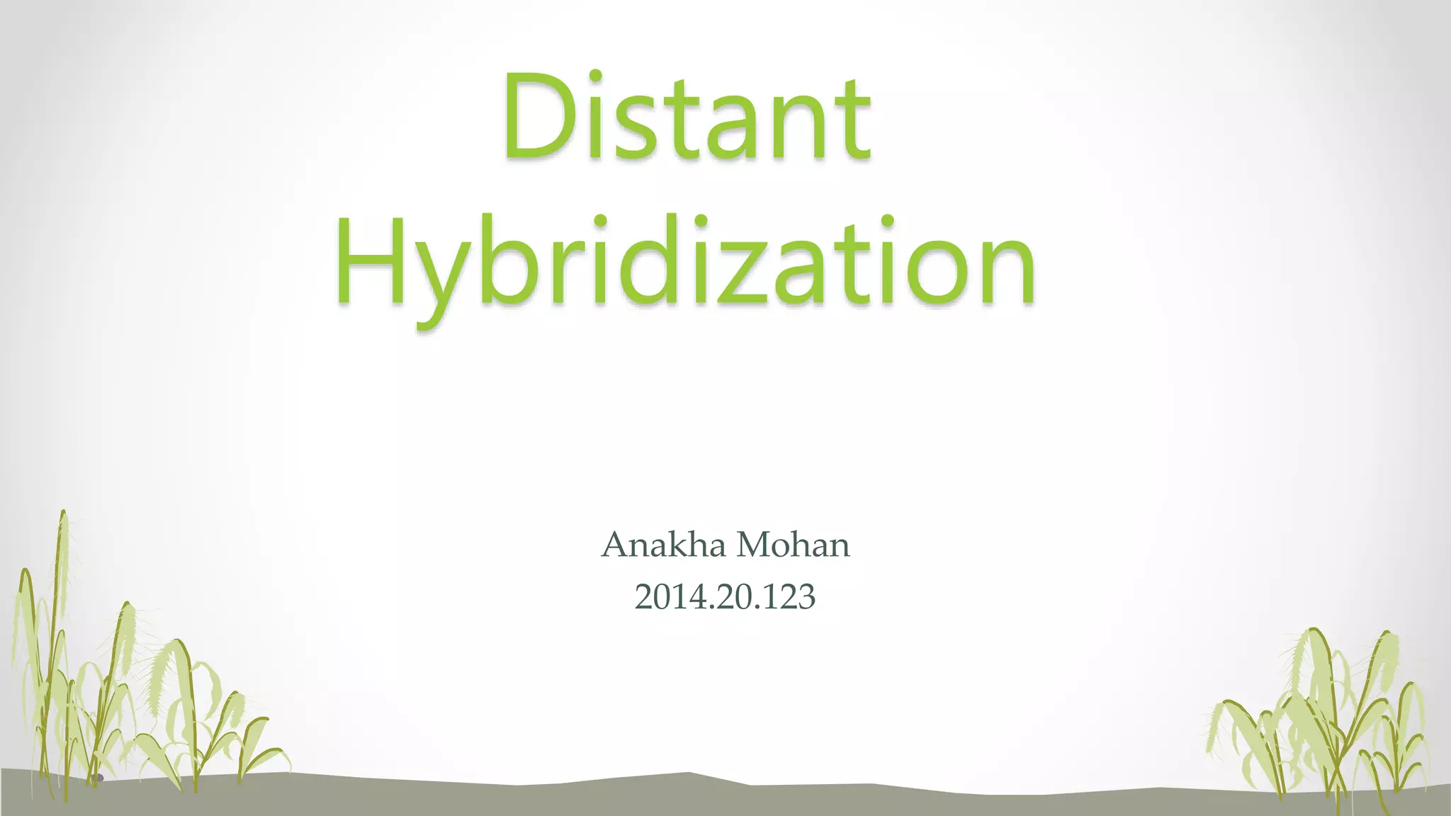 DISTANT HYBRIDISATION BY ANAKHA MOHAN PLANT BREEDING | PPTX