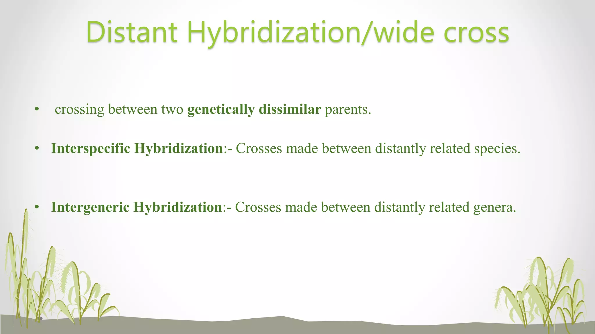 DISTANT HYBRIDISATION BY ANAKHA MOHAN PLANT BREEDING | PPTX