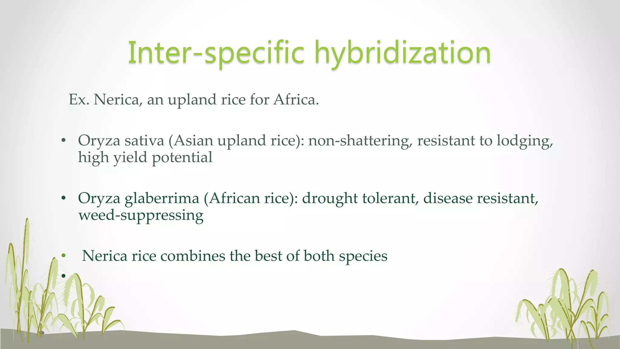 DISTANT HYBRIDISATION BY ANAKHA MOHAN PLANT BREEDING | PPTX