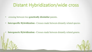 DISTANT HYBRIDISATION BY ANAKHA MOHAN PLANT BREEDING | PPTX