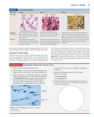 Ana_Lab activities for a lab tieuse-3-Tissues.pdf