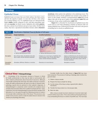 Ana_Lab activities for a lab tieuse-3-Tissues.pdf