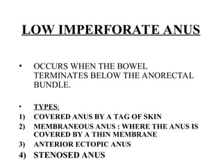 AND PERIANAL CONDITIONSAND PERIANAL CONDITIONS ppt | PPT