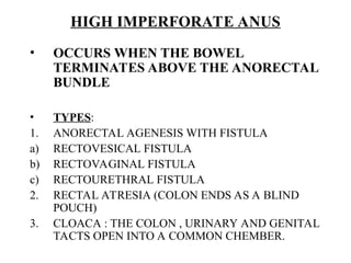AND PERIANAL CONDITIONSAND PERIANAL CONDITIONS ppt | PPT