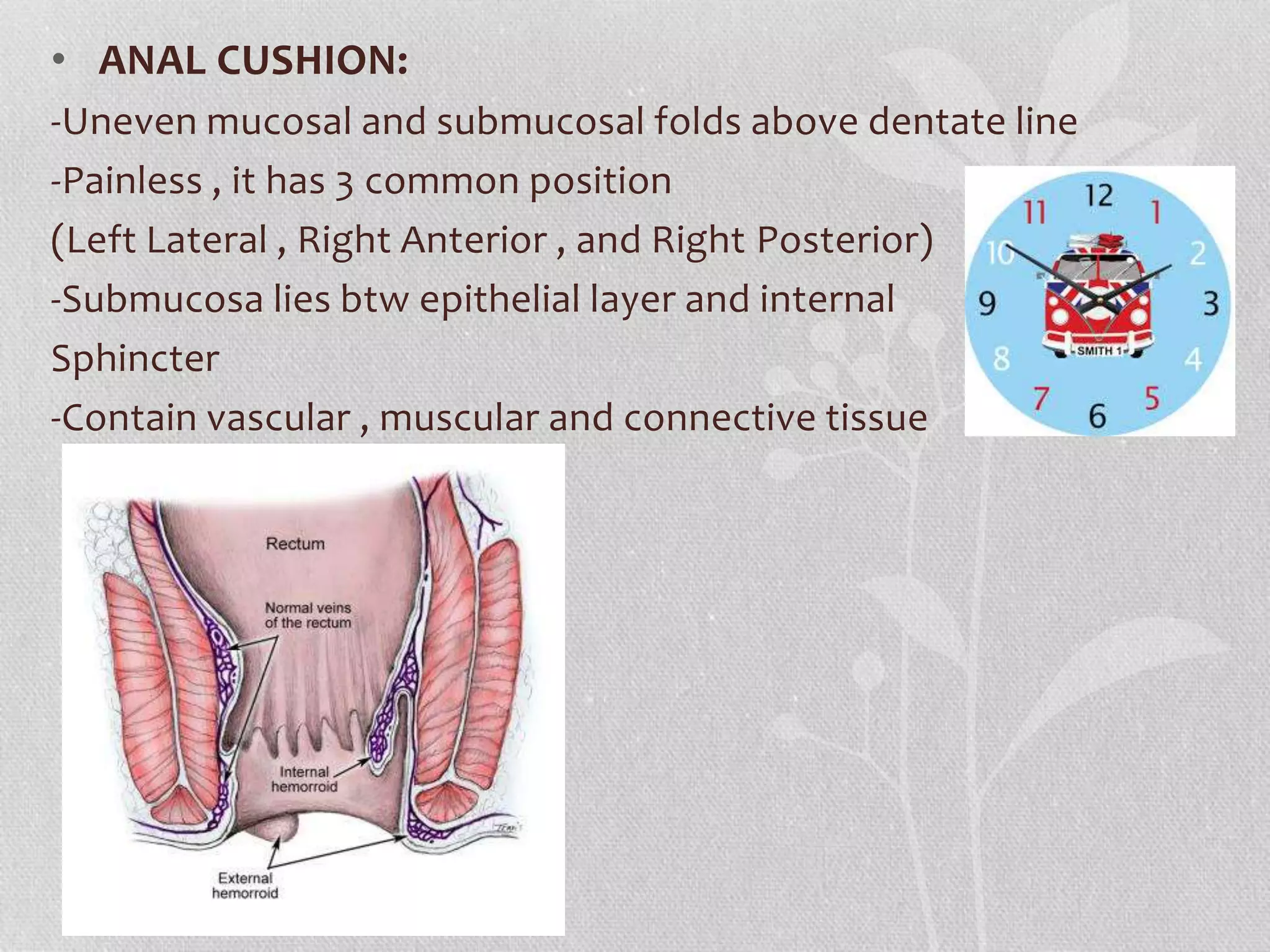 ANAL & PERIANAL DISEASE (PART 1) | PPTX
