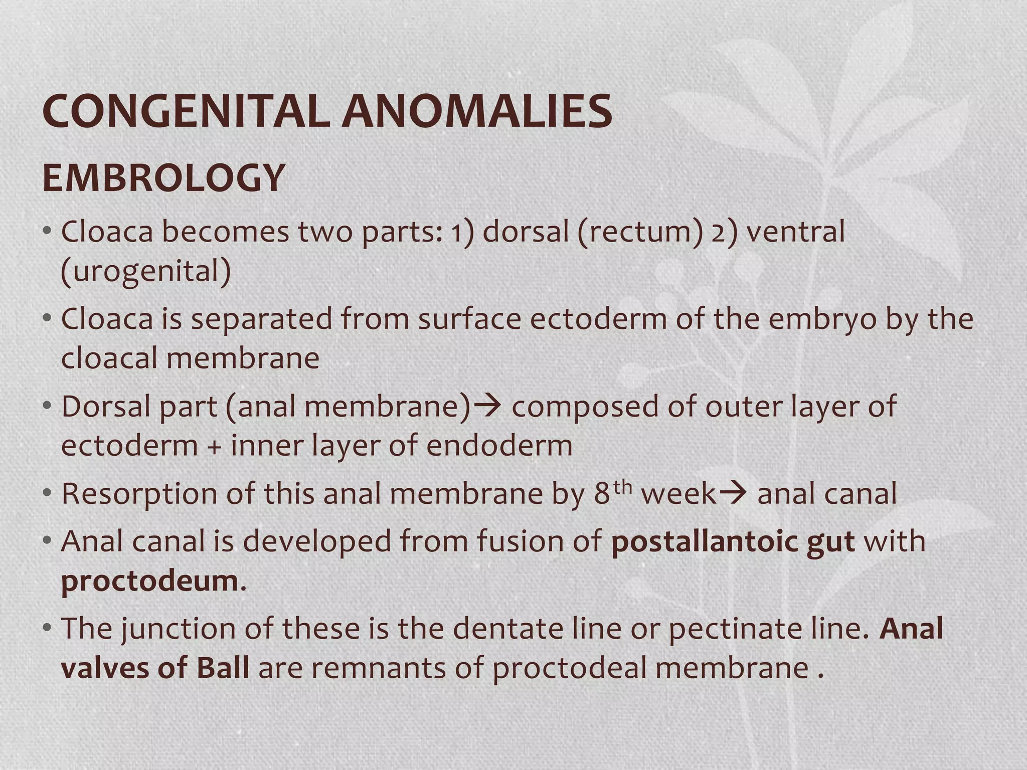 ANAL & PERIANAL DISEASE (PART 1) | PPTX