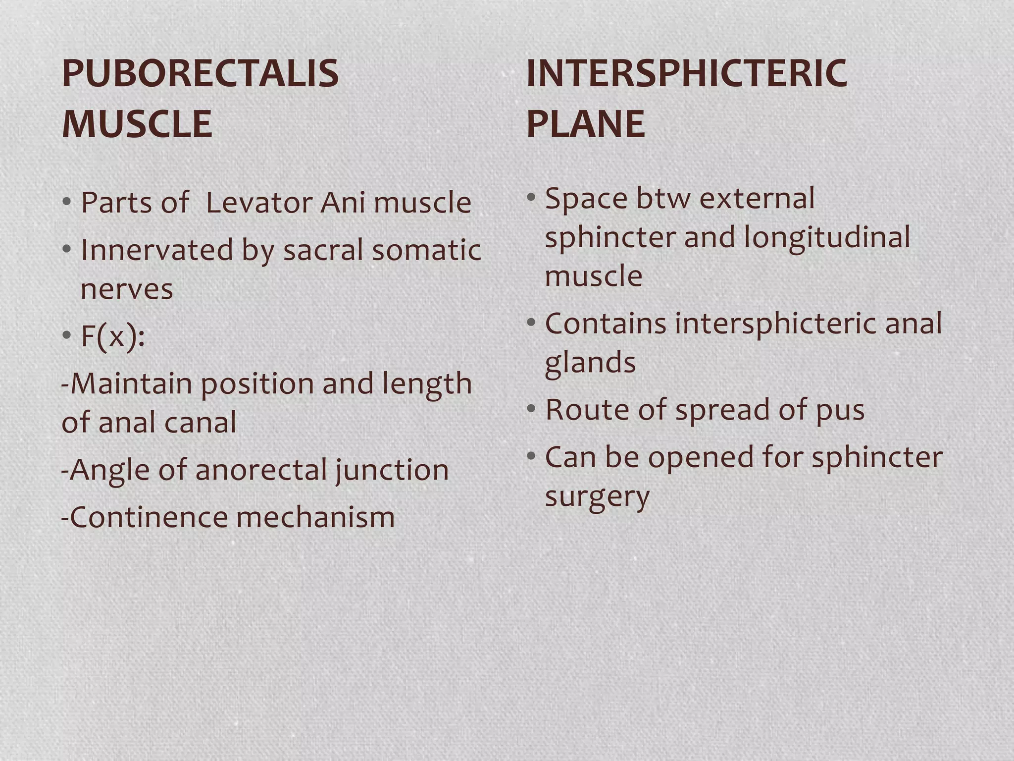 ANAL & PERIANAL DISEASE (PART 1) | PPTX