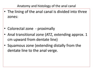 Anal canal | PPT