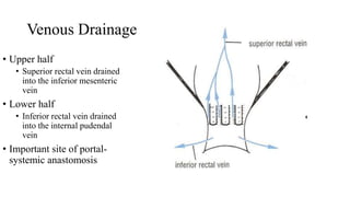 anal canal.pptx